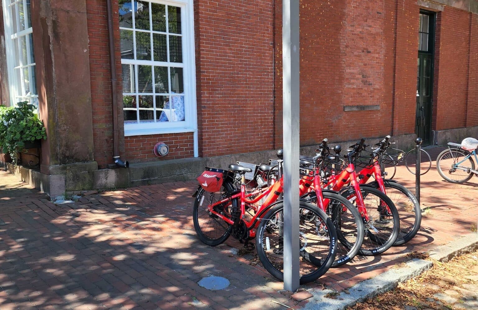 Biking Is the Best Way to Explore Nantucket Island | Nantucket.net Blog