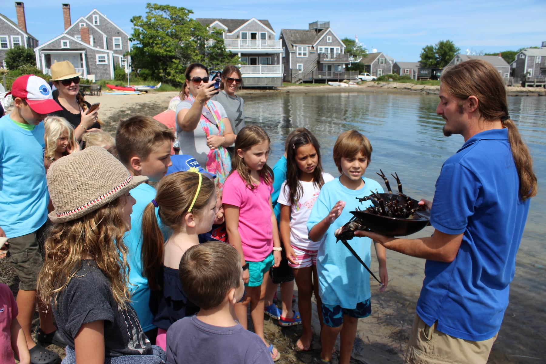 Nantucket Maria Mitchell Association's Aquarium Release Day on October ...